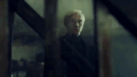 Dramione GIFs - Get the best gif on GIFER