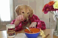 Desayuno GIF - Conseguir el mejor gif en GIFER