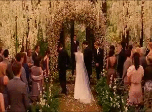 Walking Down The Aisle Gif