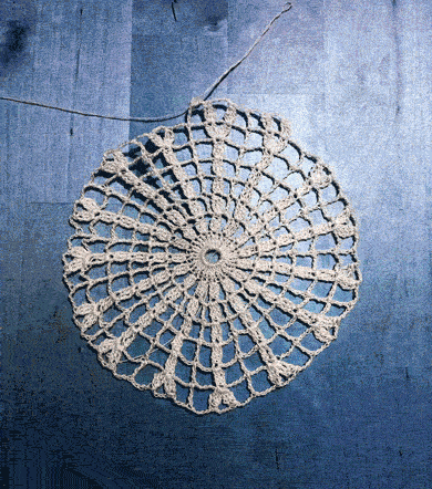 Doily GIFs - Get the best gif on GIFER