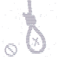 Ropes GIFs - Get the best gif on GIFER