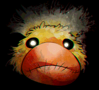 Quacking GIFs - Get the best gif on GIFER