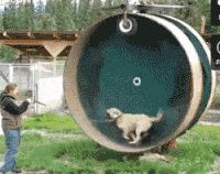 Resolution GIFs - Get the best gif on GIFER