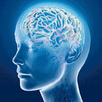 Neuroscience GIFs - Get the best gif on GIFER