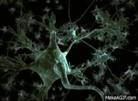 Impulse GIFs - Get the best gif on GIFER