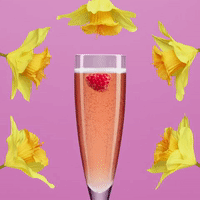 Clearly GIFs - Get the best gif on GIFER