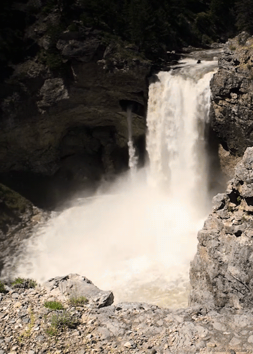 Natural bridge falls GIF - Conseguir o melhor gif em GIFER