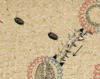 Insecte GIFs - Obtenez le meilleur gif sur GIFER