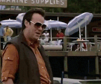 Rota GIFs - Get the best gif on GIFER