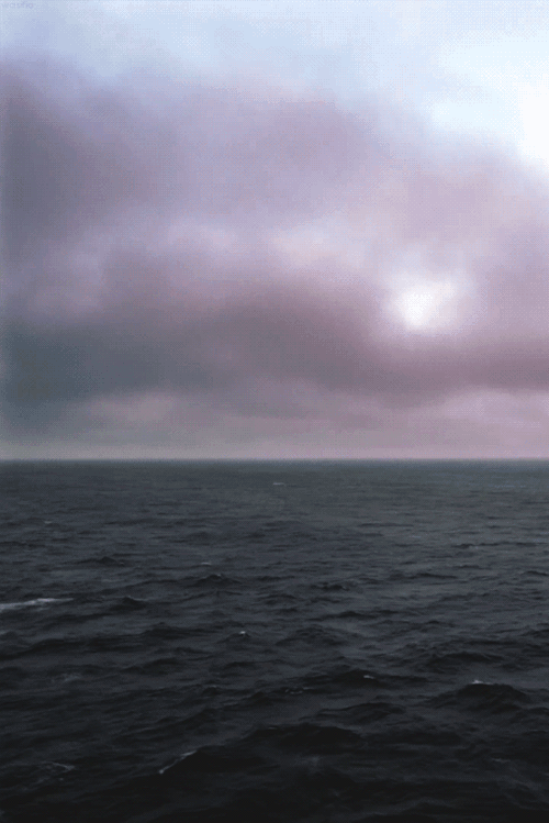 Pst GIFs - Get the best gif on GIFER