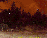Incendio GIFs - Get the best gif on GIFER