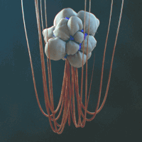 Octane GIFs - Get the best gif on GIFER