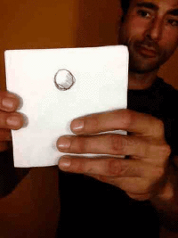 Lesen GIFs - Get the best gif on GIFER