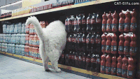 Supermarket GIFs - Get the best gif on GIFER