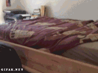 Dorm GIFs - Get the best gif on GIFER