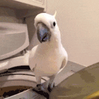 Bits GIFs - Get the best gif on GIFER