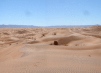 Arena GIFs - Get the best gif on GIFER