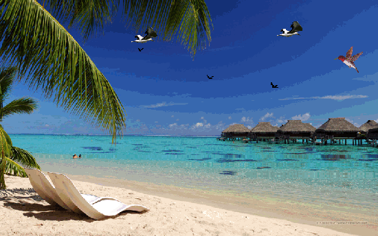 Ete GIFs - Get the best gif on GIFER