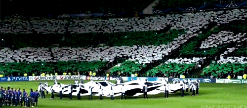 Celtic park GIFs - Get the best gif on GIFER