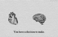 Decision GIFs - Get the best gif on GIFER