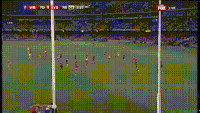 Afl GIFs - Get the best gif on GIFER