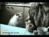 Eager GIFs - Get the best gif on GIFER