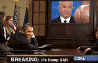 Mirar GIF - Conseguir el mejor gif en GIFER