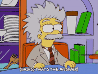 Interested GIFs - Get the best gif on GIFER
