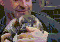 Nuzzling GIFs - Get the best gif on GIFER