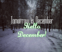 December GIFs - Get the best gif on GIFER