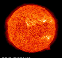 Cme GIFs - Get the best gif on GIFER