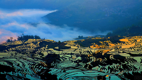 Terrace GIFs - Get the best gif on GIFER