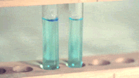 Ammonia GIFs - Get the best gif on GIFER