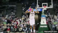 Rog GIFs - Get the best gif on GIFER