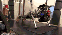 Ripped GIFs - Get the best gif on GIFER