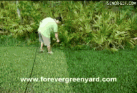 Approval ratings GIF - Conseguir o melhor gif em GIFER