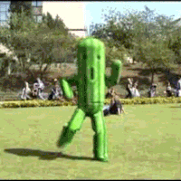 Cactus GIFs - Get the best gif on GIFER