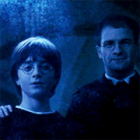 Potters GIFs - Get the best gif on GIFER