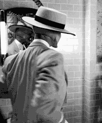 Personalities GIFs - Get the best gif on GIFER