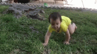 Crawling GIFs - Get the best gif on GIFER