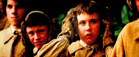Botany GIFs - Get the best gif on GIFER