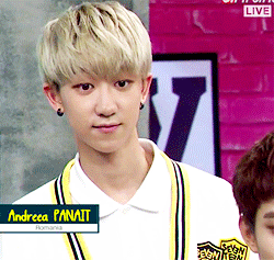 Scoups гифки, анимированные GIF изображения scoups - скачать гиф ...