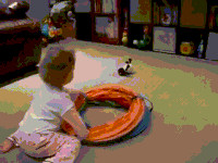 Toddler GIFs - Get the best gif on GIFER