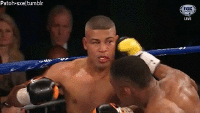 Boxeo GIFs - Get the best gif on GIFER