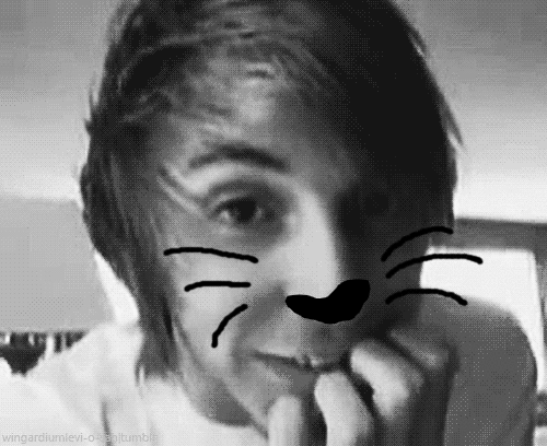 Crying because its so cute GIF - Conseguir o melhor gif em GIFER