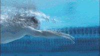 Swimming GIFs - Get the best gif on GIFER
