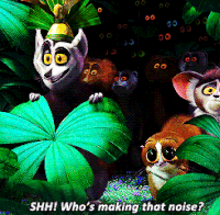 Madagascar GIFs - Get the best gif on GIFER
