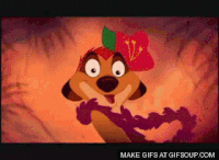 Pumba GIFs - Get the best gif on GIFER