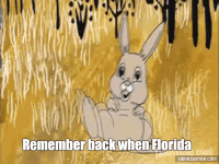 Attempt GIFs - Get the best gif on GIFER