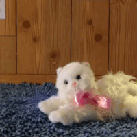 Analyze GIFs - Get the best gif on GIFER